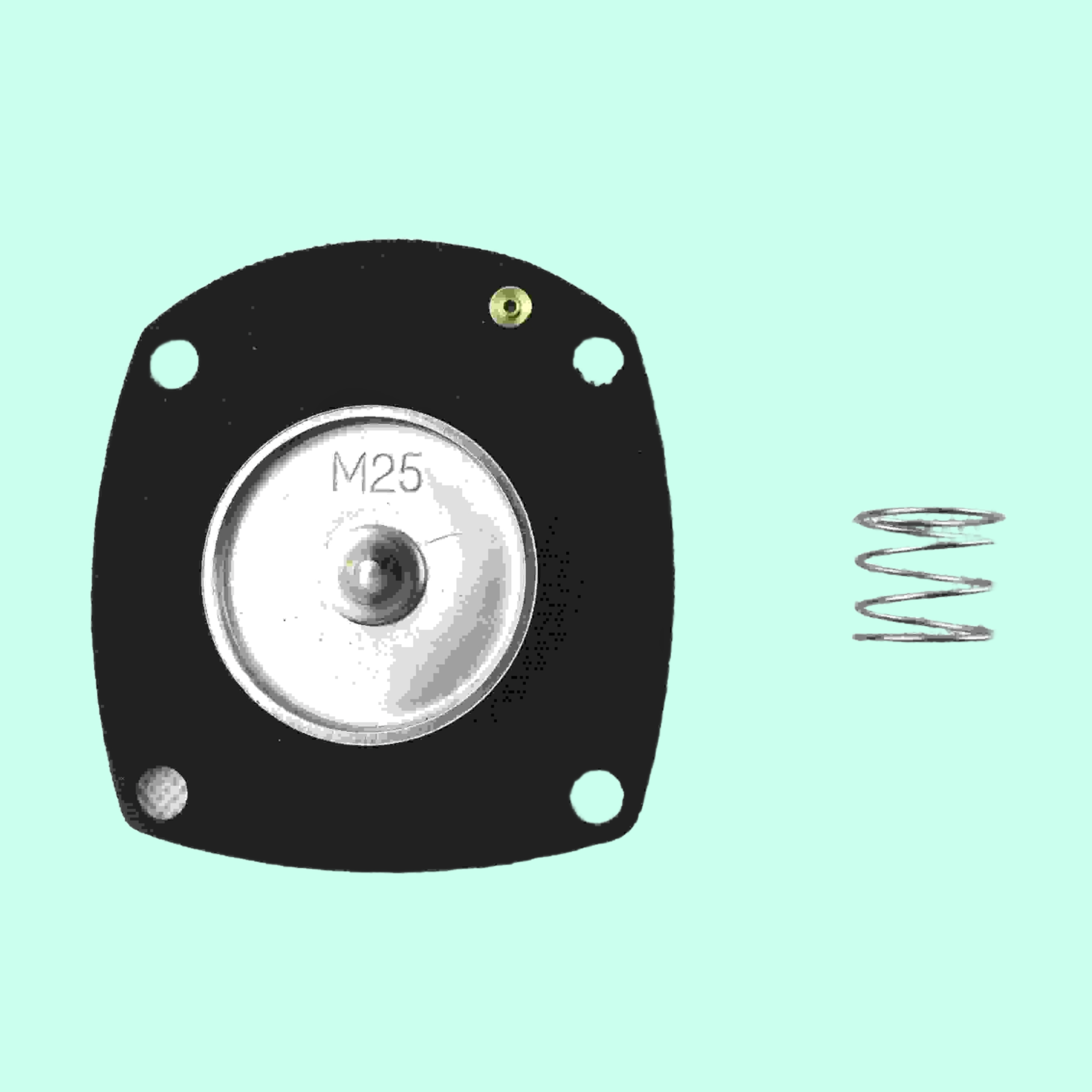 TURBO M25 Diaphragm Repair Kit FP25 1-inch Right Angle Pulse Valve ...