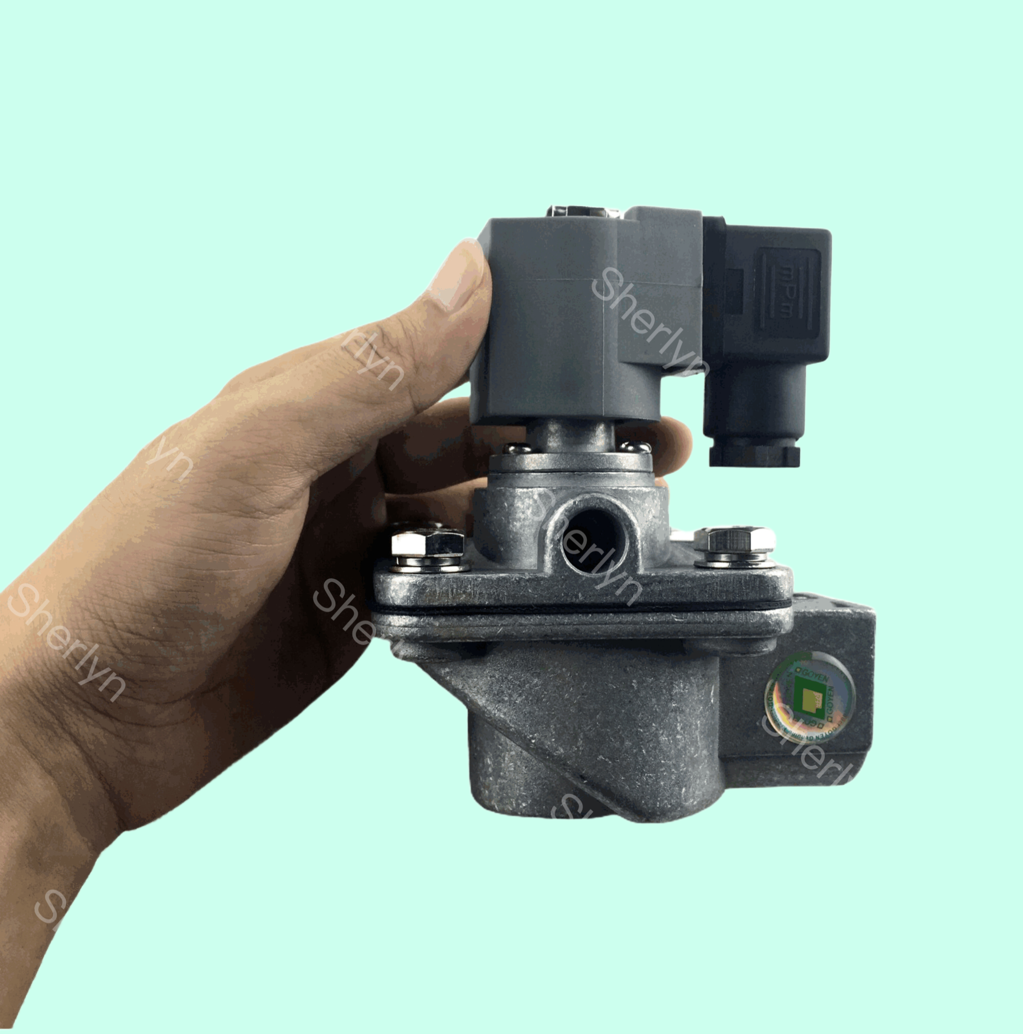 CA25T GOYEN 1-inch Pulse Valve DC24V Right Angle Type Suitable For ...