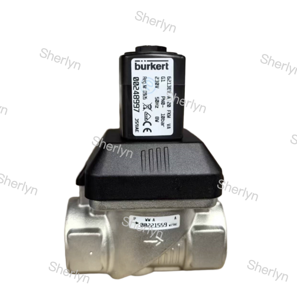 Type 6281 G1 BURKERT Oxidation-resisting Steel Electromagnetic Valve ...